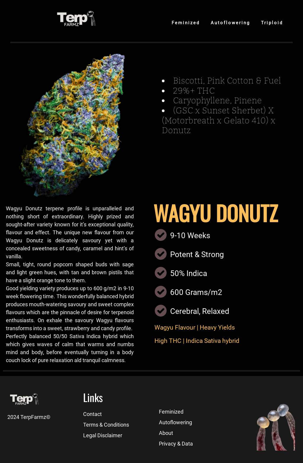 Terp Farmz Wagyu Donutz Feminized Seeds
