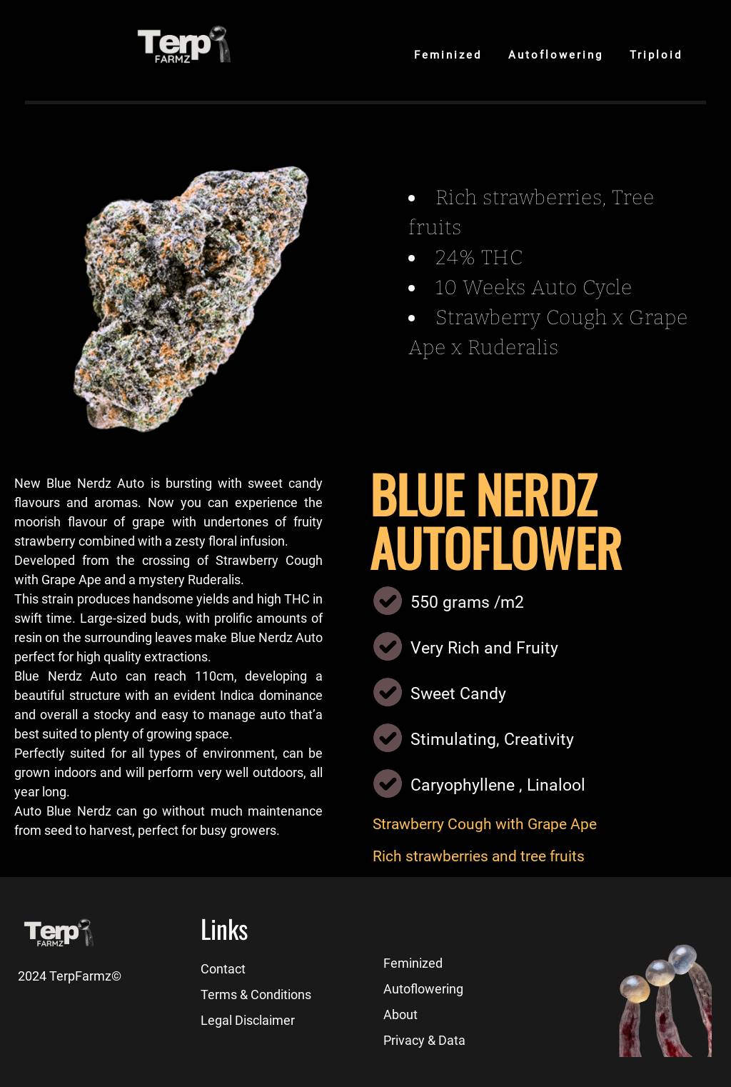 Terp Farmz Blue Nerdz Feminized Seeds